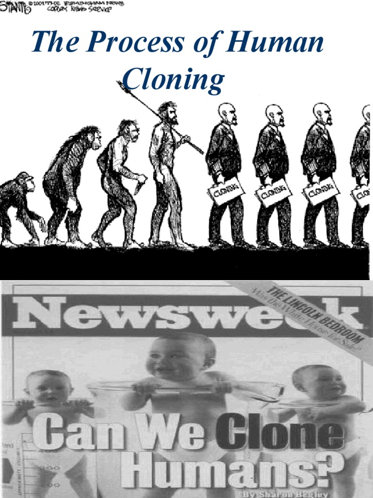 Steps in Human Cloning Process | PDF | Self-Improvement