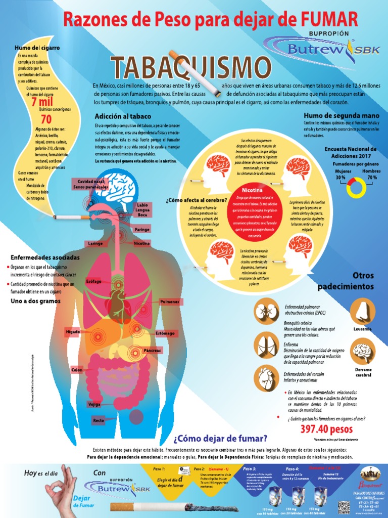 Infografia Tabaquismo | PDF