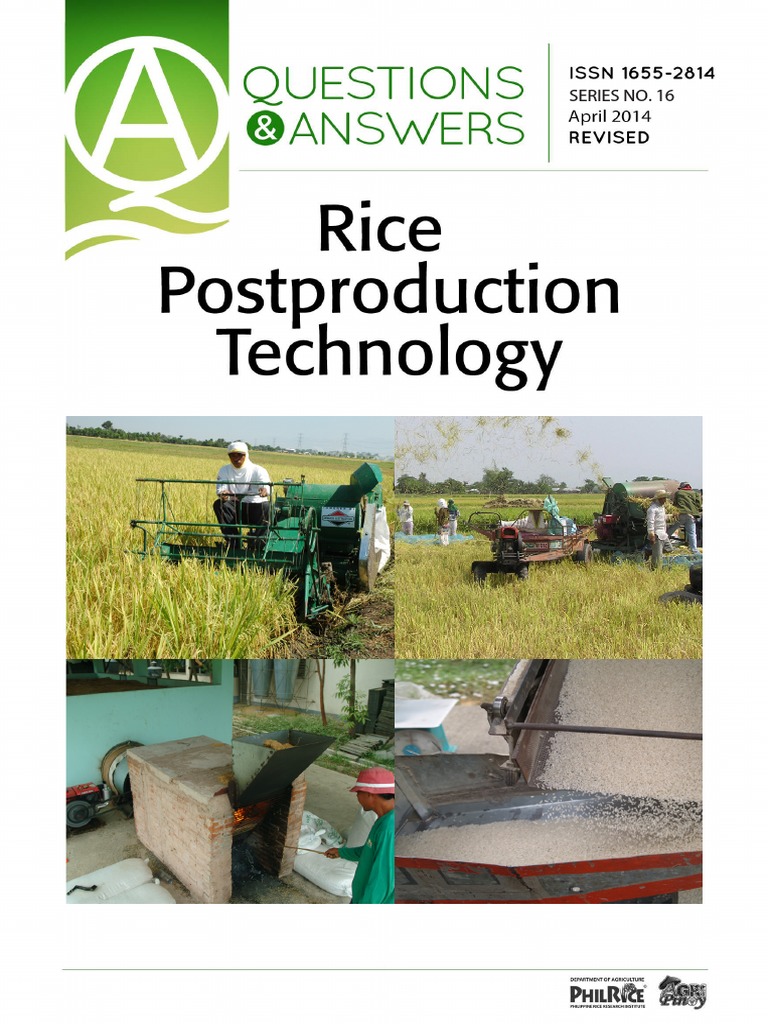 Rice Postproduction Technology | PDF