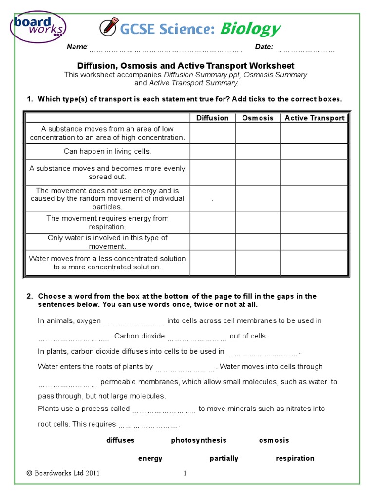 Diffusion Osmosis and Active Transport Worksheet-1452166353 | PDF ...