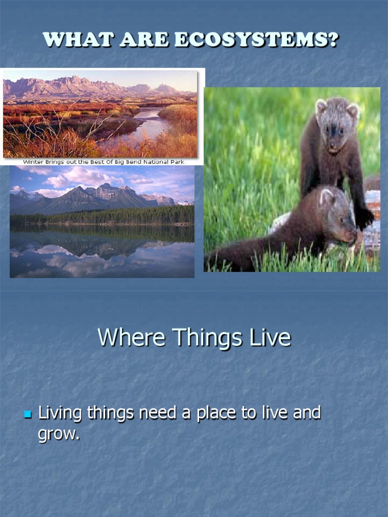 Science 5 Ecosystems | PDF | Habitat | Natural Environment