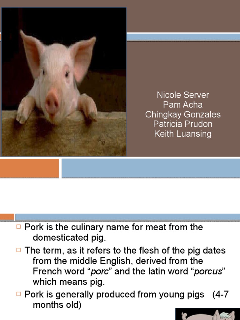 Pork | PDF | Domestic Pig | Pork