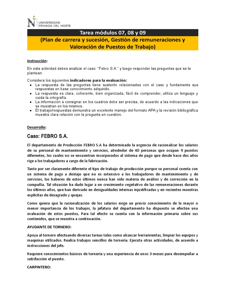 Caso Febro | PDF | Salario