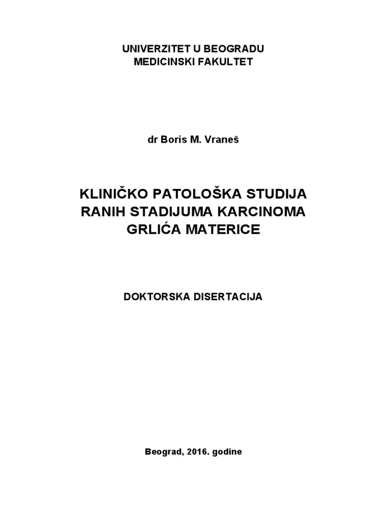 Boris Vranes Doktorska Disertacija | PDF