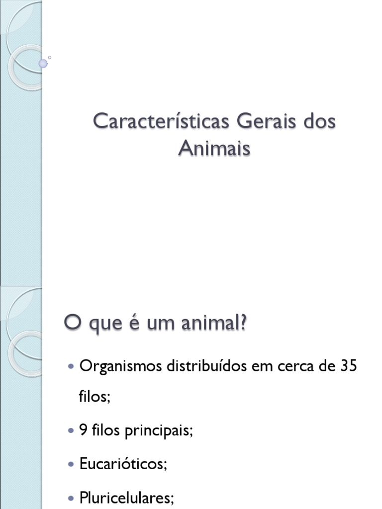 As Principais Características dos Filos Animais | PDF | Fósseis vivos ...