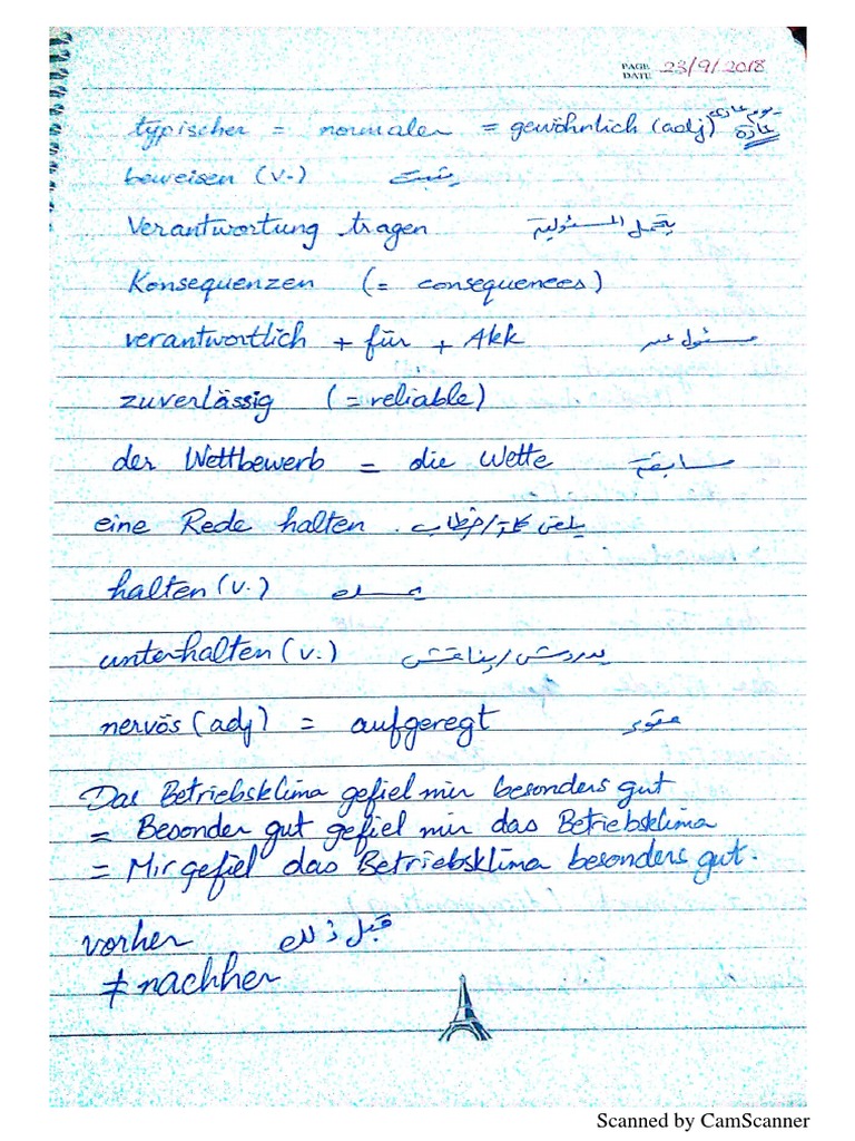 German All in One For Dummies | PDF