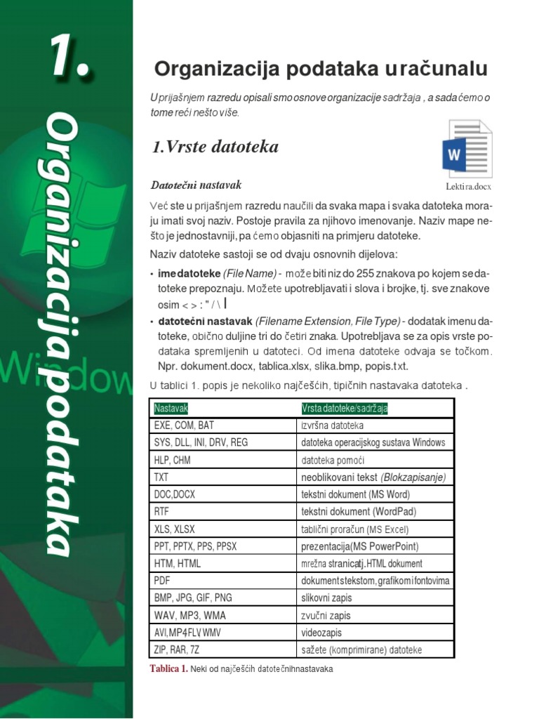 Organizacija Podataka U Računalu: Vrste Datoteka | PDF