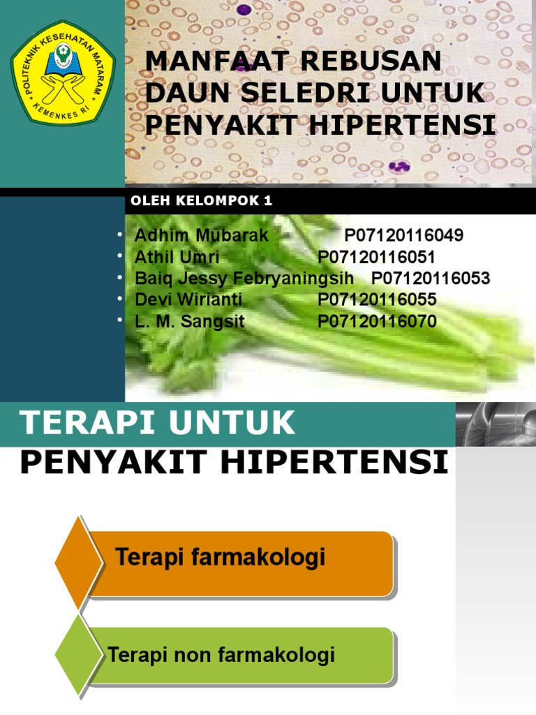 Daun Seledri Untuk Hipertensi | PDF