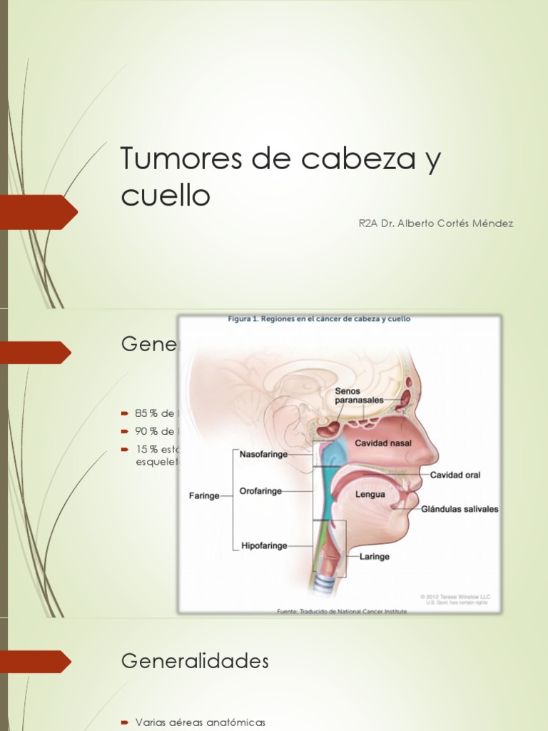 Tumores de Cabeza y Cuello | PDF | Neoplasias | Cáncer