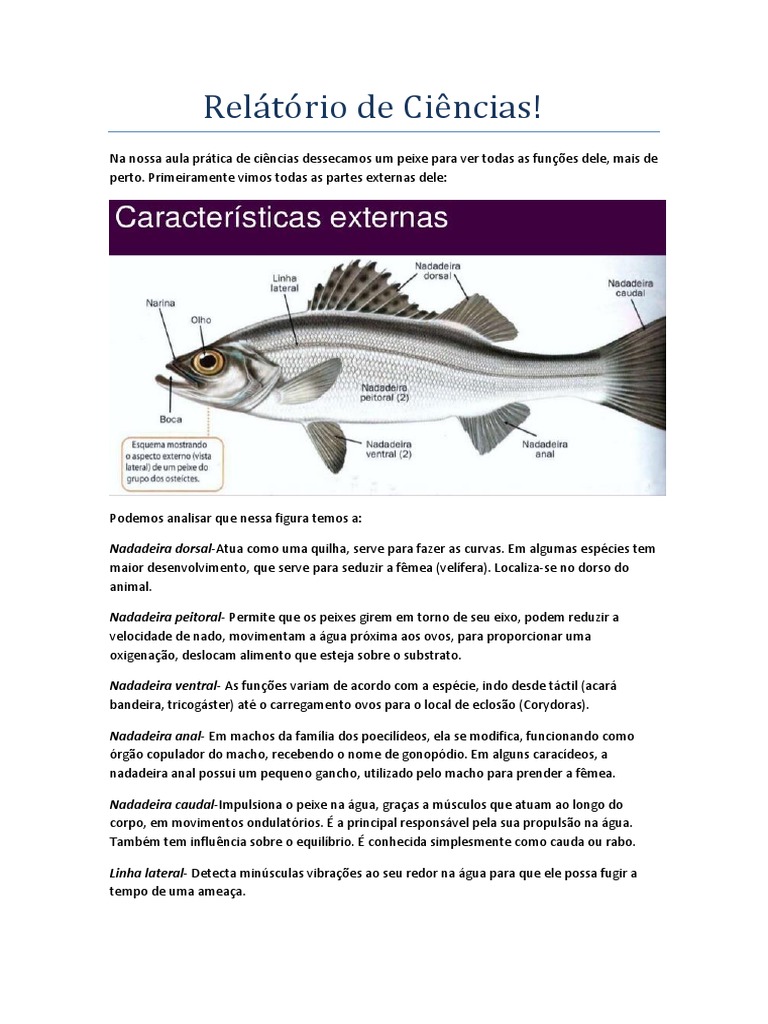 Relatório Dos Peixes! | PDF