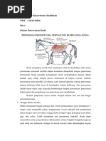 Anatomi Fungsional Organ Reproduksi Sapi Betina | PDF