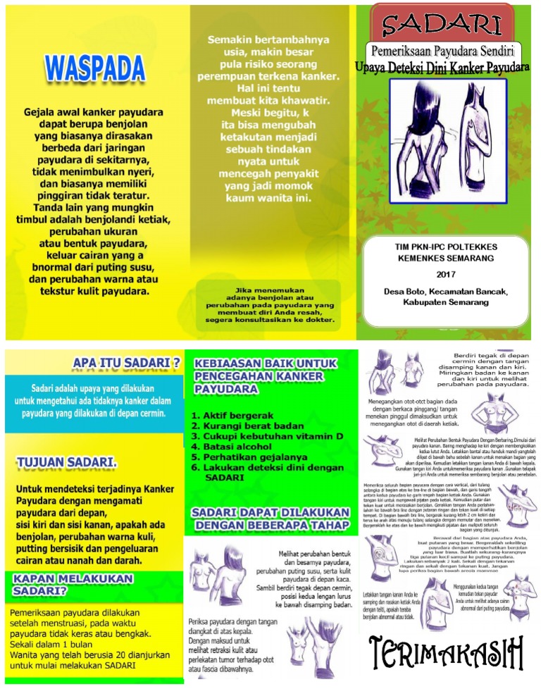 Leaflet Sadari | PDF