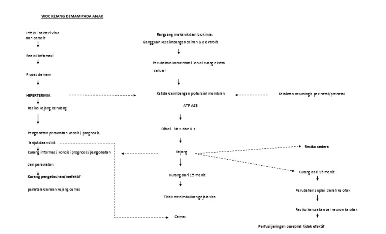 WOC Kejang Demam | PDF