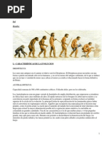 Dryopithecus | PDF | Hominidae | Homo Sapiens