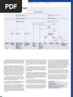 VNEST - Verb Network Strengthening Treatment A Step by Step Guide | PDF