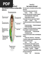 Talumpati Ni Dilma Rouseff Sa Kanyang Inagurasyon Powerpoint COT | PDF