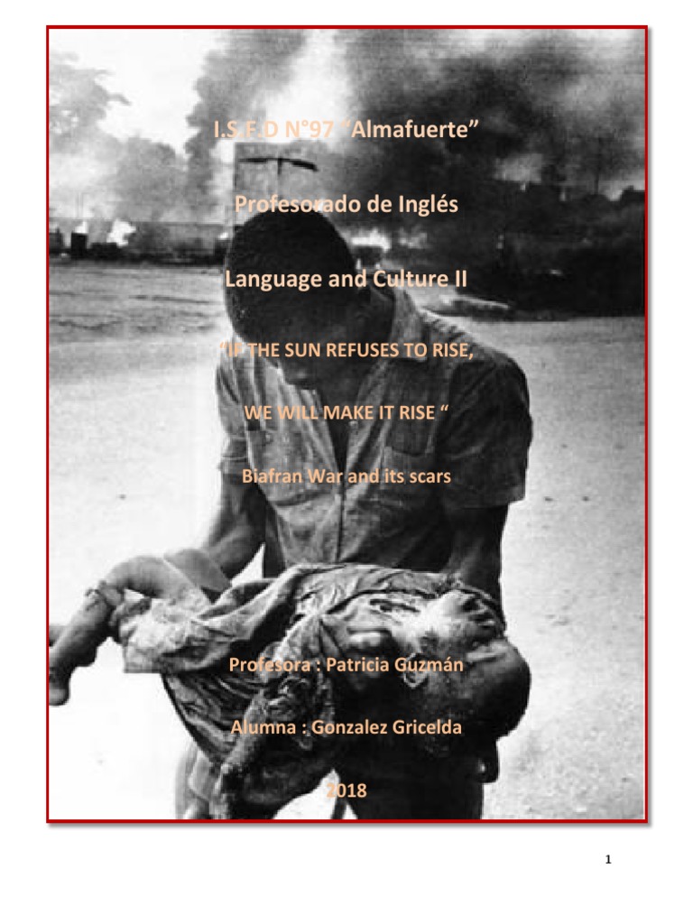 Half of A Yellow Sun | PDF