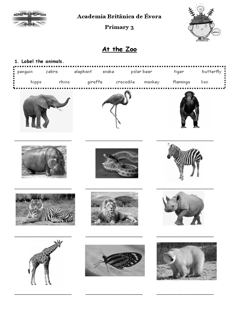 At the zoo | PDF | Organisms | Nature