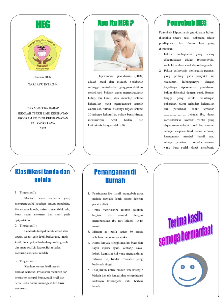 Tingkatan Hiperemesis Gravidarum | PDF