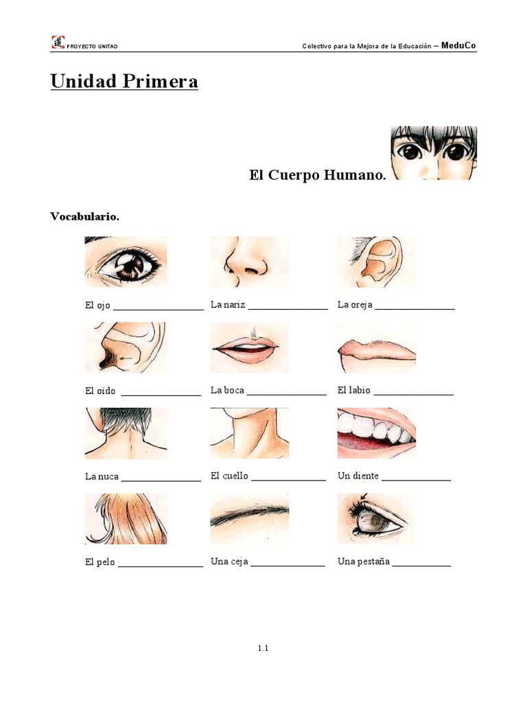 Lectoescritura Nivel Elemental El Cuerpo Humano Pdf Descargar