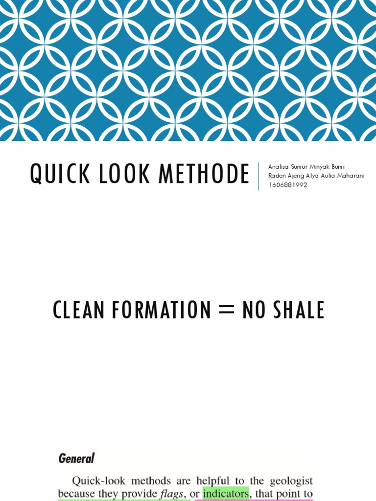 Quick Look Methode | PDF