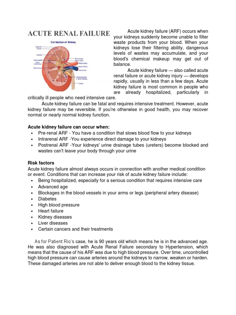 Acute Kidney Failure | PDF | Kidney | Renal Function
