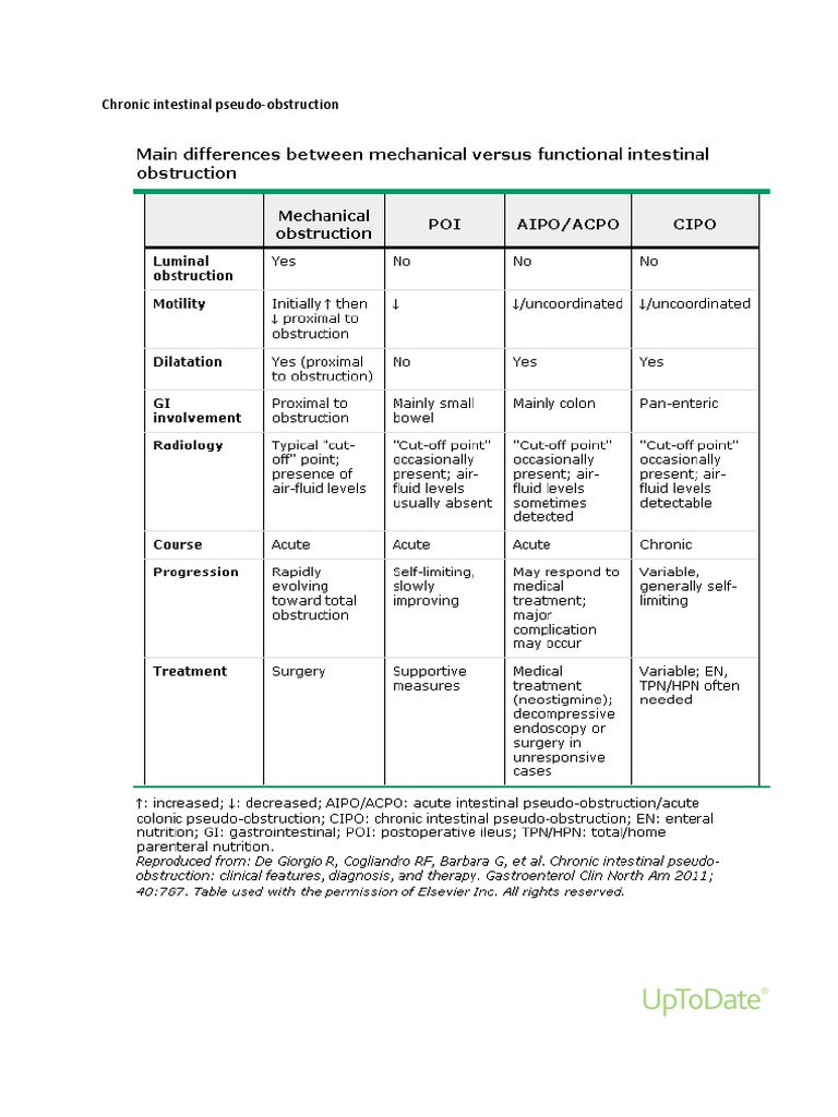 Pseudo Obstruction | PDF | Colonoscopy | Gastrointestinal Tract