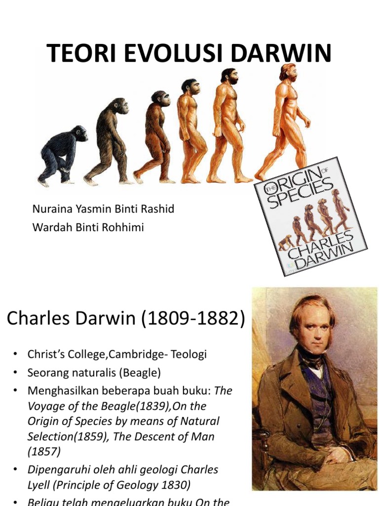 Evolusi Darwin | PDF
