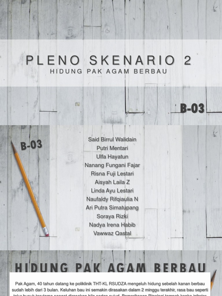 Pleno Sken 2 B-03 | PDF