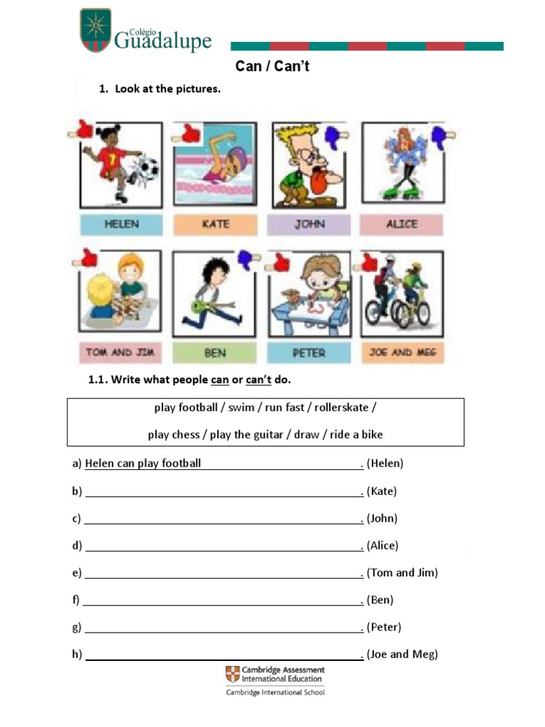 Ficha de Trabalho Can Can't 2 | PDF