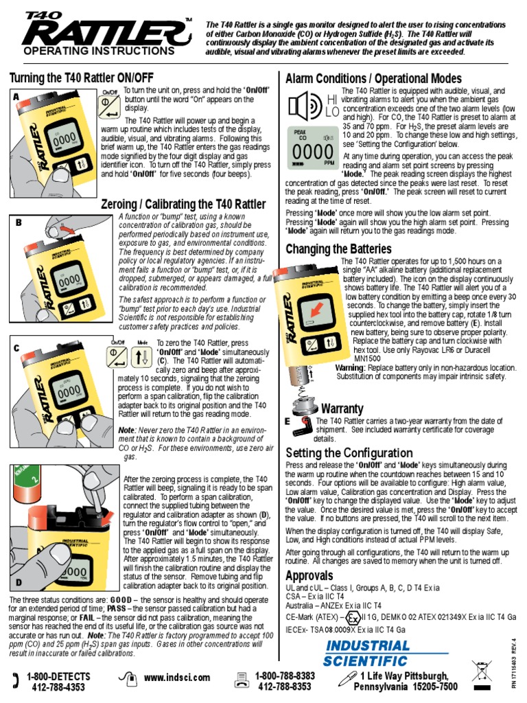 T40 Rattler | PDF | Scientific Method | Scientific Observation