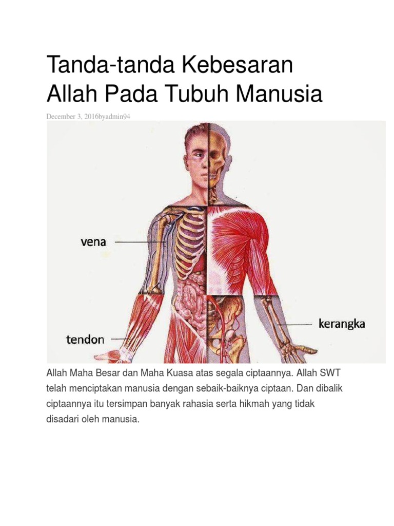 Tanda Tanda Kebesaran Allah Pada Tubuh | PDF