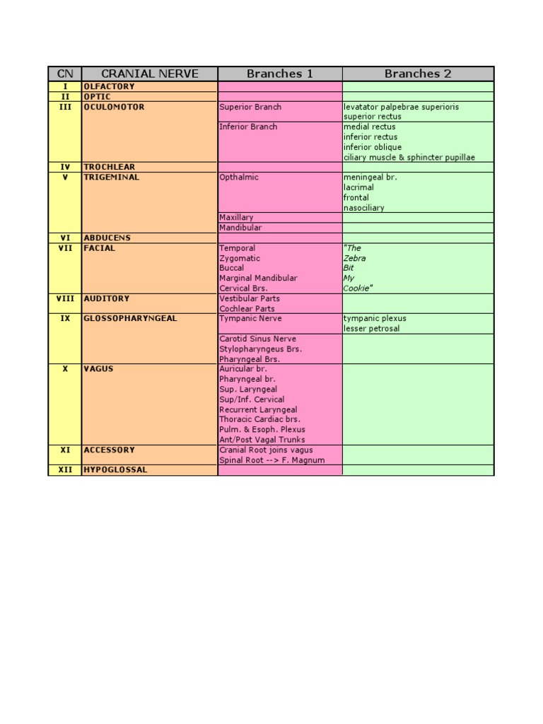 Cranial Nerve Chart | PDF