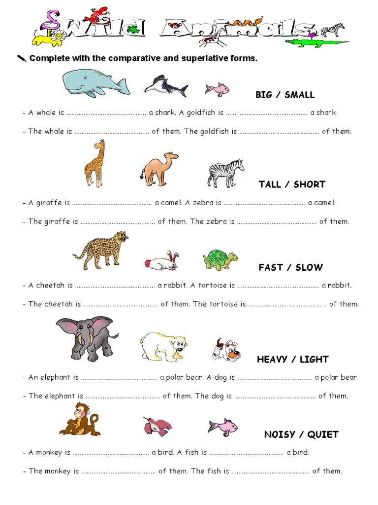 Animals: Comparatives and Superlatives | PDF | Nature
