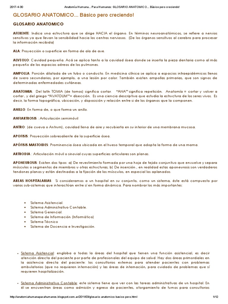 Anatomía Humana Glosario Anatomico Pdf Pdf Sistema Circulatorio