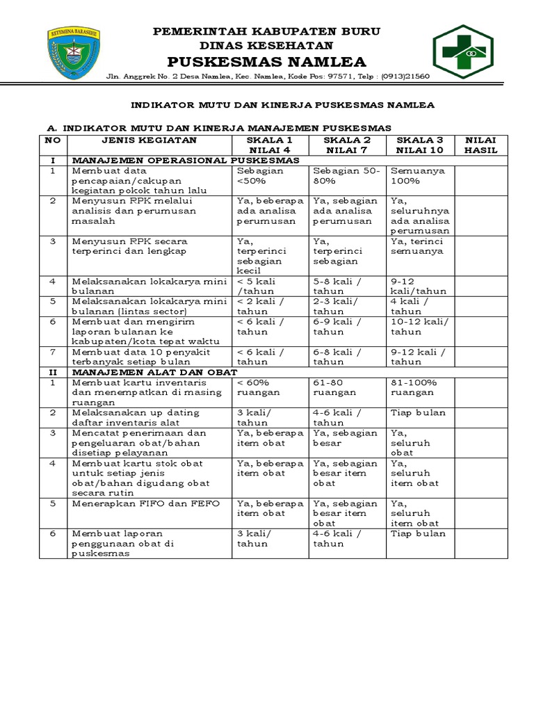 KINERJA PUSKESMAS NAMLEA | PDF