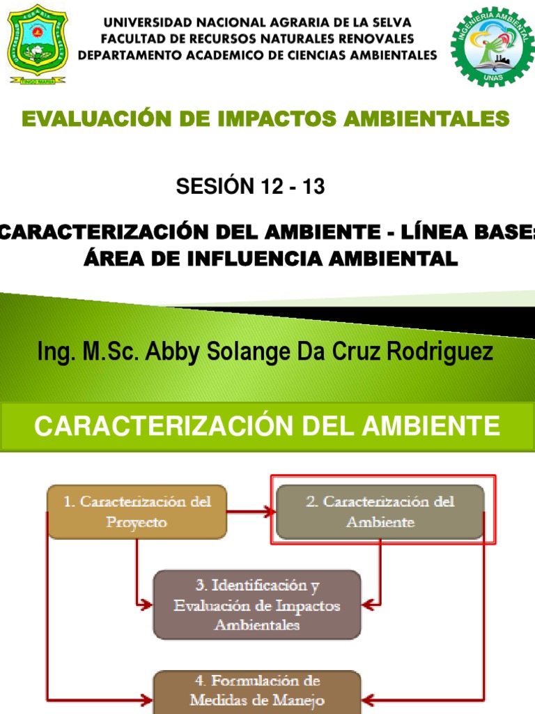 Ley Del SEIA | PDF | Evaluación de impacto ambiental | Entorno natural
