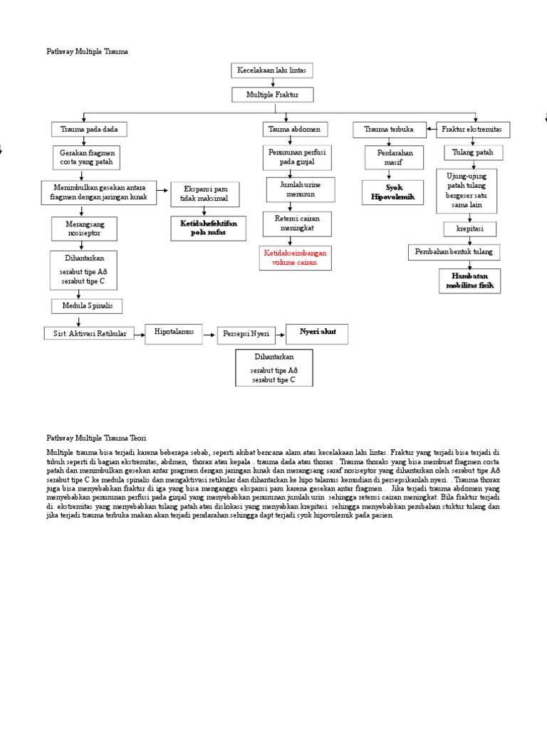Pathway Multiple Trauma | PDF