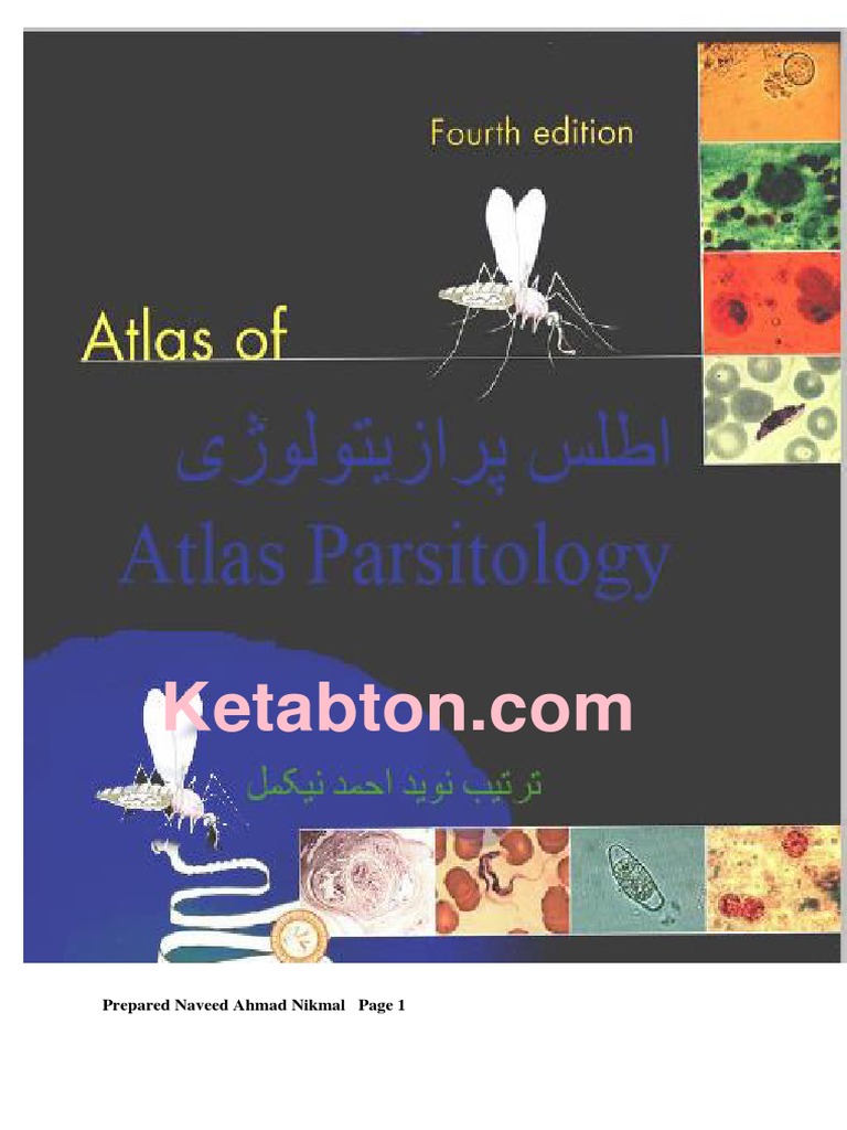Atlas | PDF