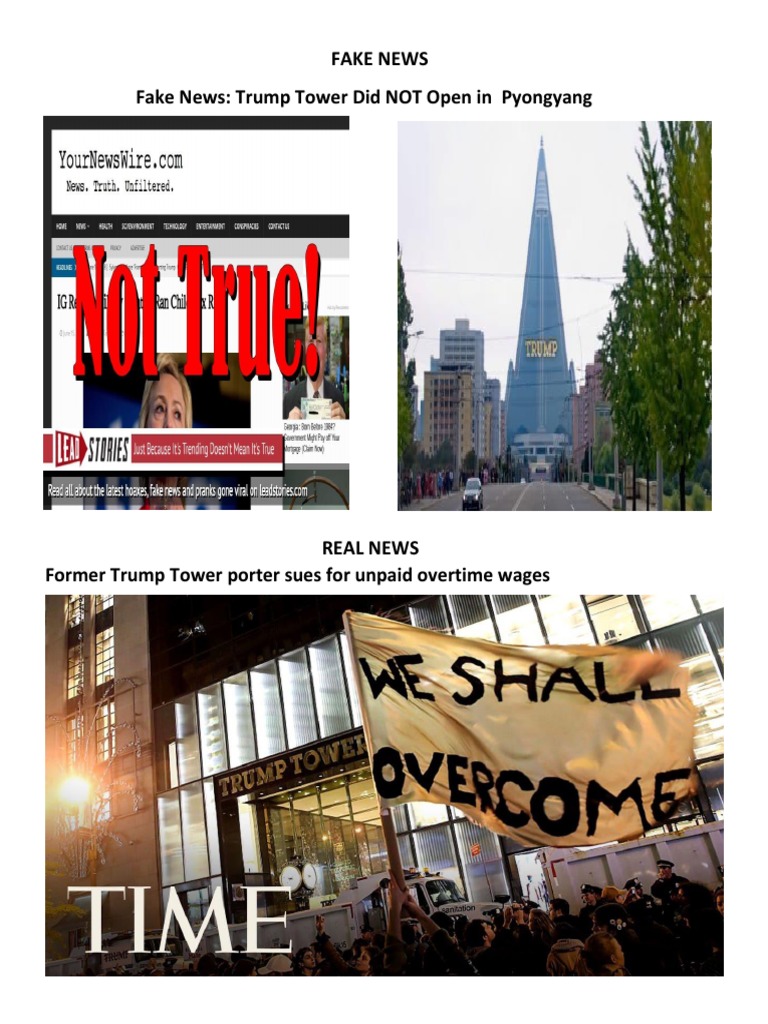 Fake News and Real News | PDF | Public Sphere | Government