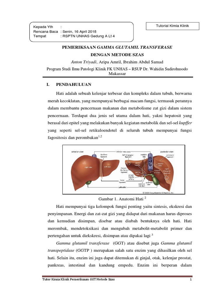 Pemeriksaan Gama Glutamil Transferase | PDF