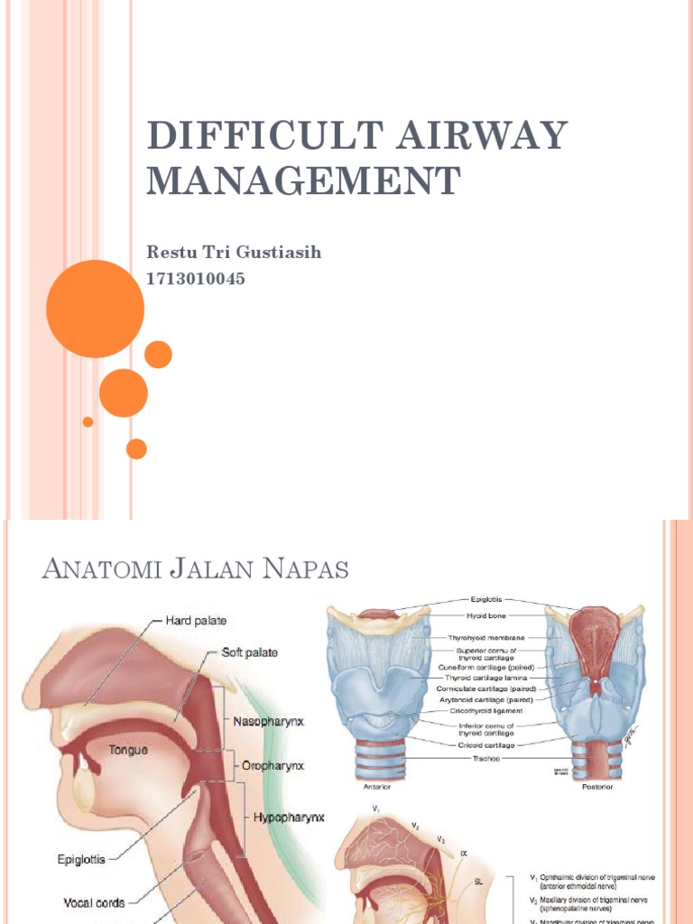 Difficult Airway Management | PDF