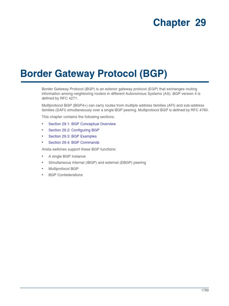 Understanding Border Gateway Protocol (BGP) | PDF | Ip Address | I Pv6
