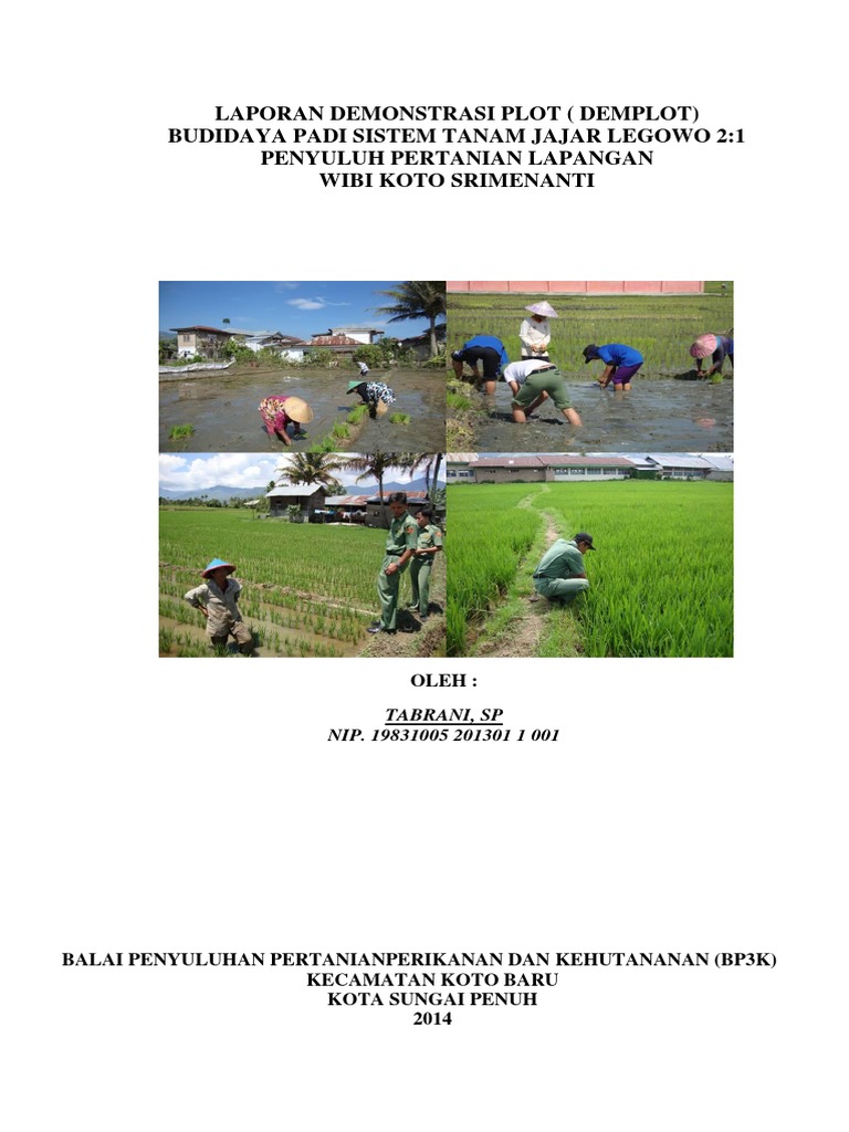 Laporan Demplot 2014 - Copy Tab | PDF
