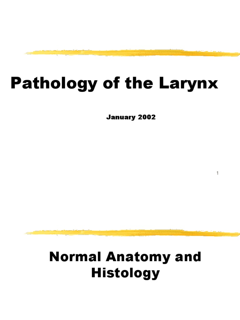 Laryngeal Pathology Overview | PDF | Carcinoma | Epithelium