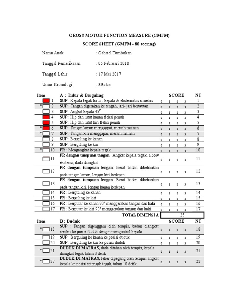 Gross Motor Functional Measurement | PDF