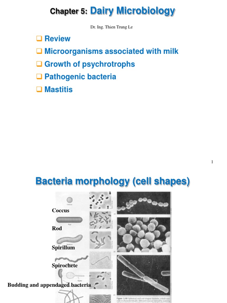 Microorganisms in Dairy: Pathogens & Psychrotrophs | PDF ...