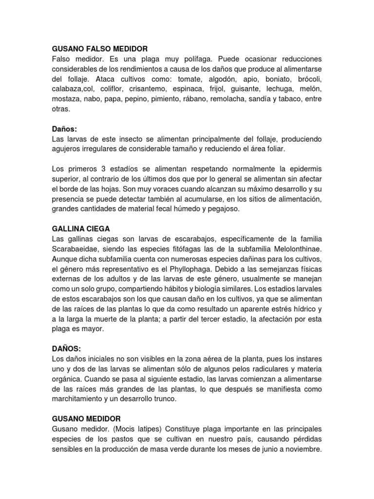 Gusano Falso Medidor | PDF | Plantas | Horticultura y jardinería