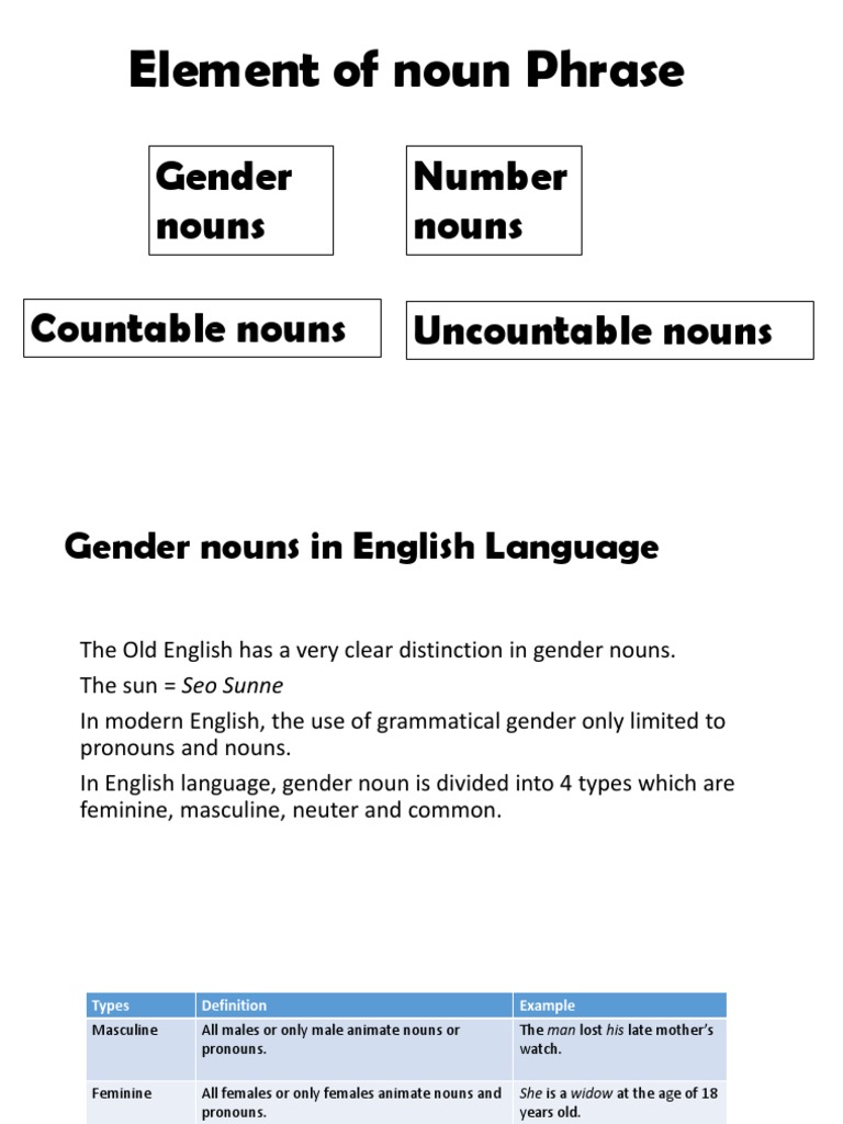 Element of Noun Phrase | PDF | Grammatical Gender | Noun