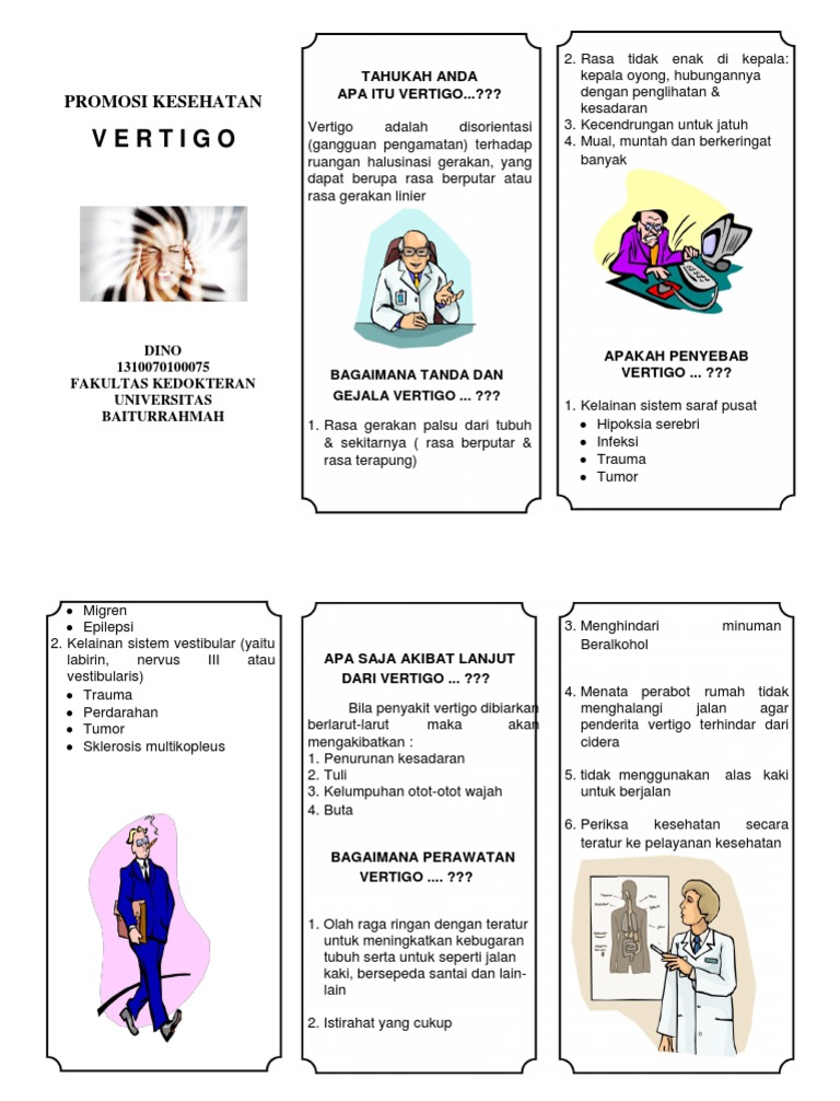 Leaflet VERTIGO Edit PDF | PDF